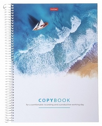 Купить Тетрадь Hatber Романтика 160Тт4В1сп_25709, 160 листов, А4, разметка клетка, твердая ...