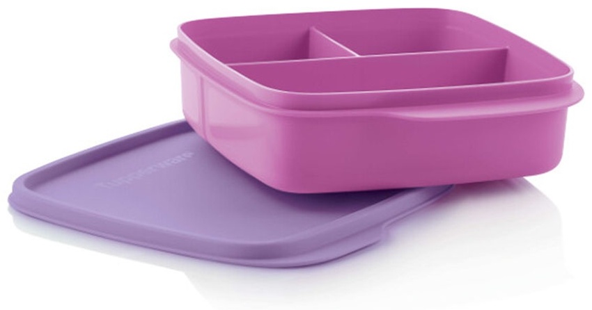 Купить Tupperware ланч-бокс Школьник 2 шт, пластик в кредит в Алматы ...