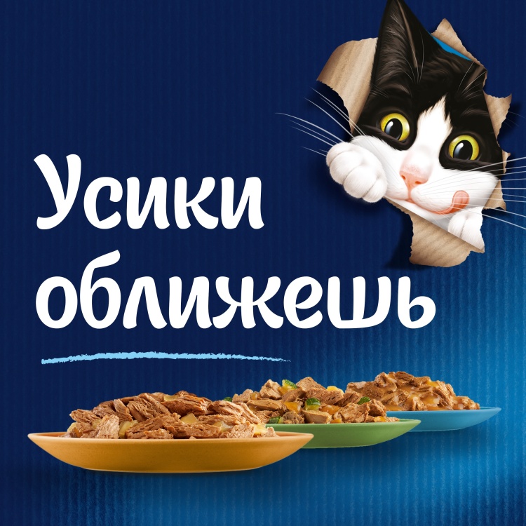Купить Корм Felix кусочки в желе курица 75 г 1 шт в кредит в Алматы