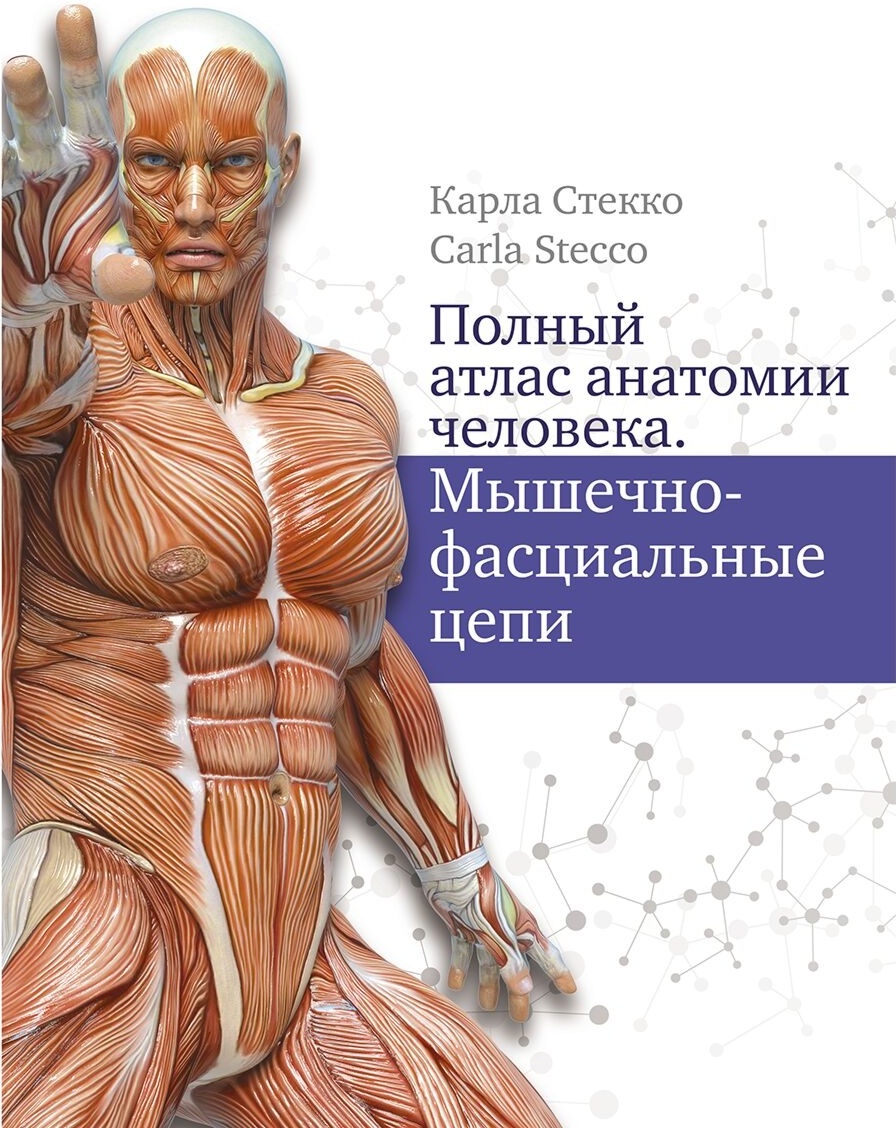 Купить Книга Стекко К.: Полный атлас анатомии человека. Мышечно ...