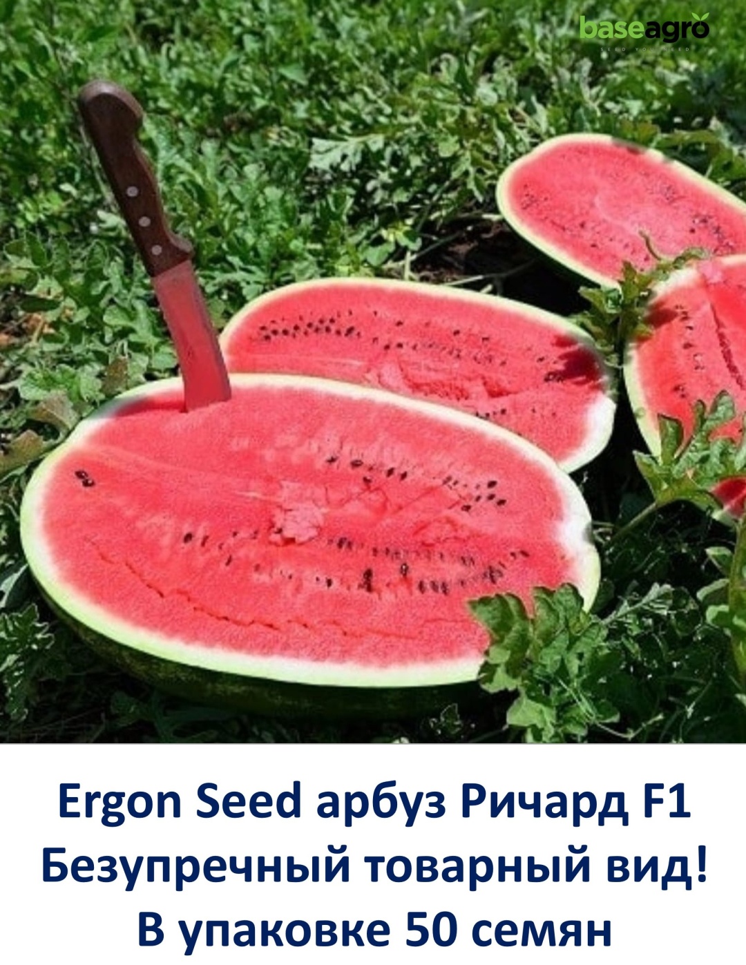 Купить Ergon Seed арбуз Richard F1 в Алматы – Магазин на Kaspi.kz