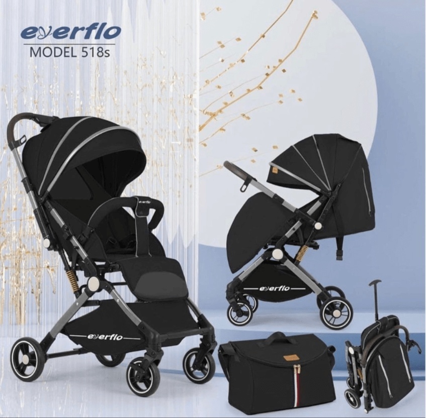 Купить Коляска прогулочная Wingoffly Eyerflo 518M, черный в Алматы ...
