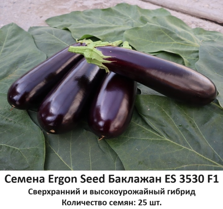 Купить Семена Ergon Seed баклажан ES 3530 F1 в Алматы – Магазин на Kaspi.kz