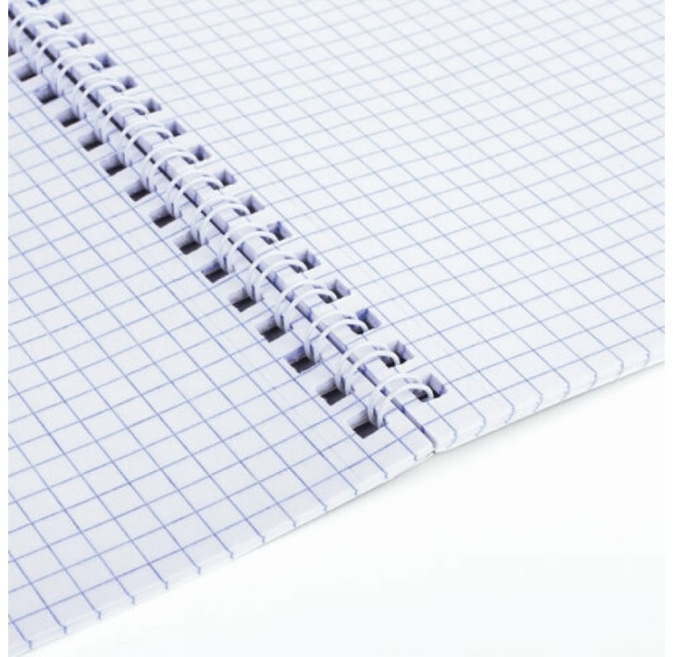 Купить Общая тетрадь Brauberg 403053, 48 л, А5, клетка, мягкая обложка ...