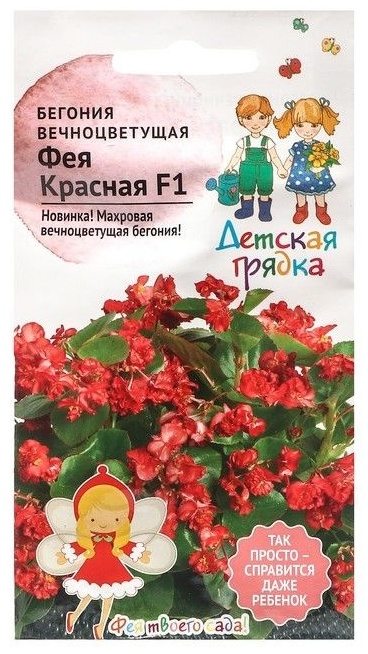 Купить Бегония Фея красная F1 в Алматы – Магазин на Kaspi.kz