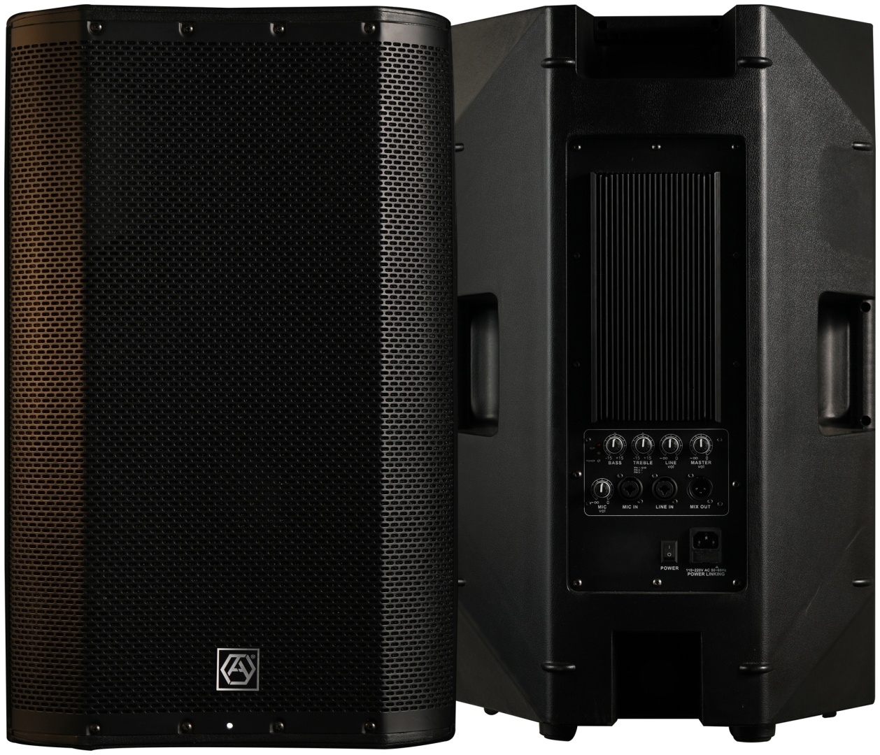 Купить Акустическая система Accuracy Pro Audio CAN15APC черный в Алматы ...