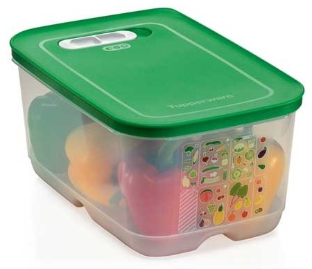 Купить Tupperware контейнер РП599 1 шт, пластик в кредит в Алматы ...