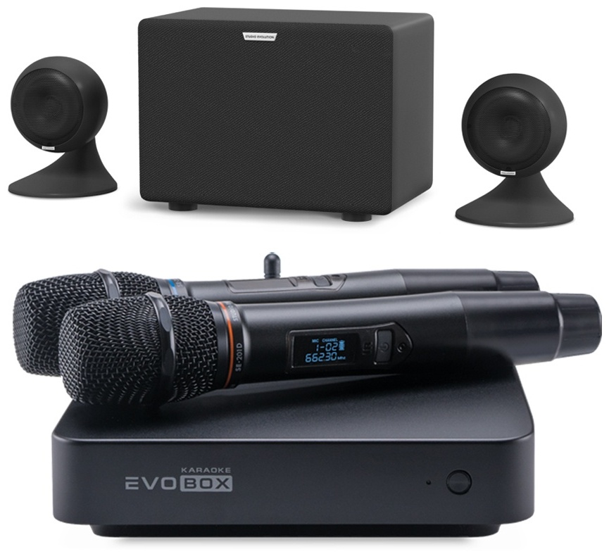 Купить Караоке-система Studio Evolution EVOBOX Plus [SE 201D] + EvoSound Sphere черный в Алматы ...
