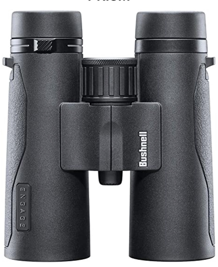 Купить Бинокль Bushnell F06005 10x42 мм черный в Алматы – Магазин на ...