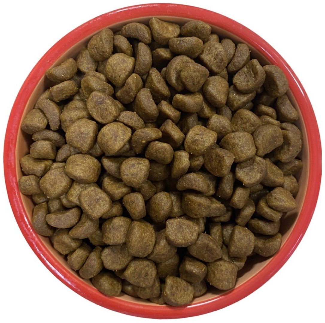 Купить Корм Royal Canin British Shorthair 1.5 кг в Алматы – Магазин на ...