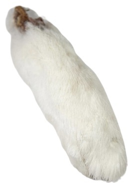 Купить Лакомство Pet Care Сушеная кроличья лапка 100 г 1 шт в Алматы ...