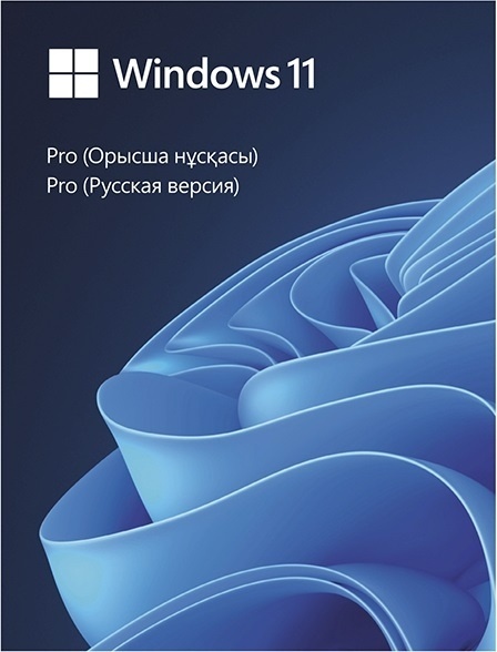 Купить Операционная система Microsoft Windows 11 Professional 64 Bit в