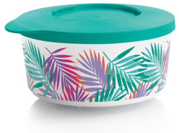 Купить Tupperware контейнер РП063, пластик в кредит в Алматы – Kaspi ...