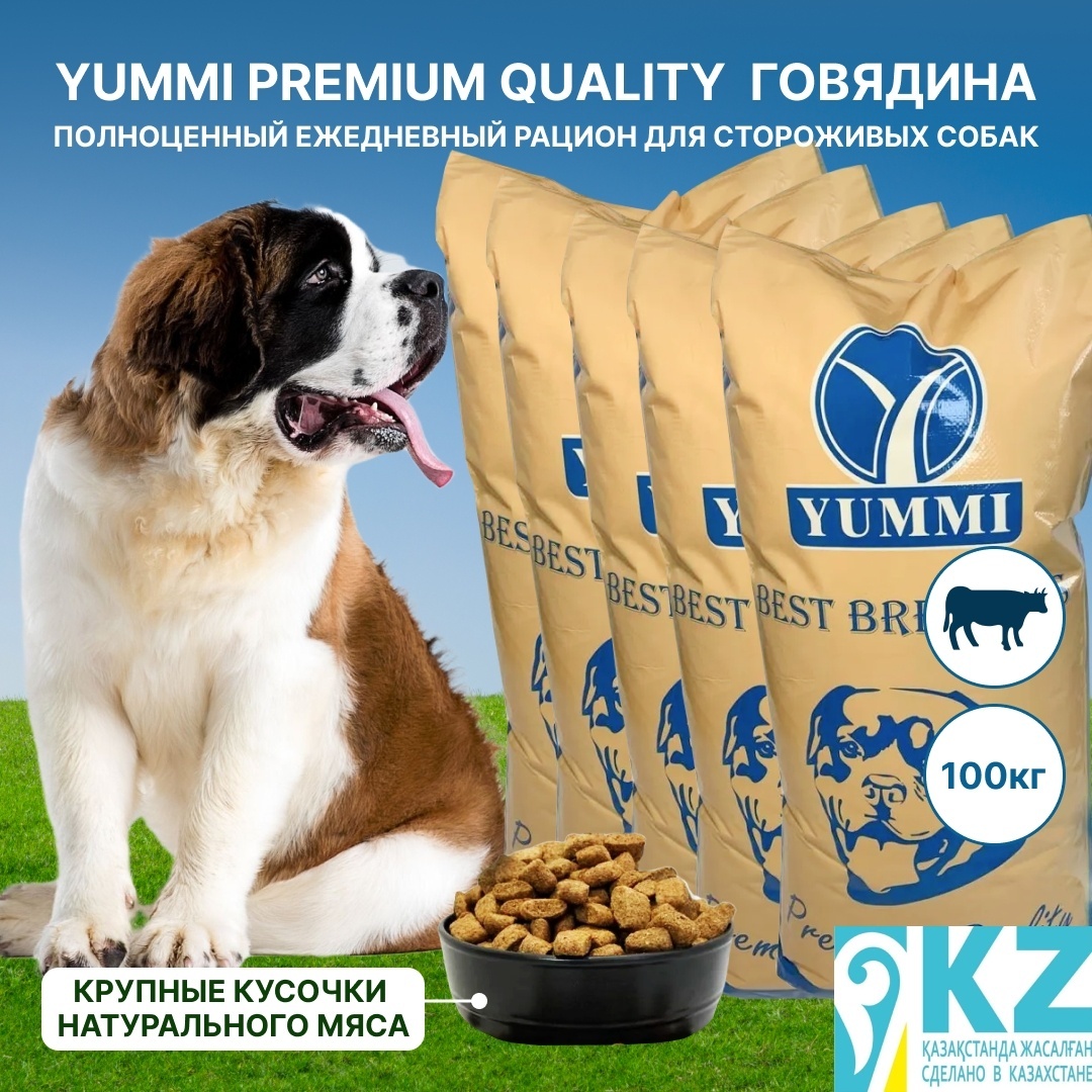 Купить Корм YUMMI Premium Quality Говядина для сторожевых 100 кг в ...
