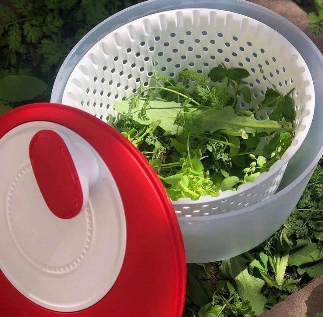 Купить Tupperware сушилка Рп540, пластик в кредит в Алматы – Kaspi Магазин