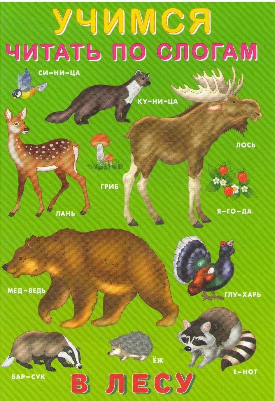 Купить Книга Учимся читать по слогам. В лесу в Алматы – Магазин на Kaspi.kz