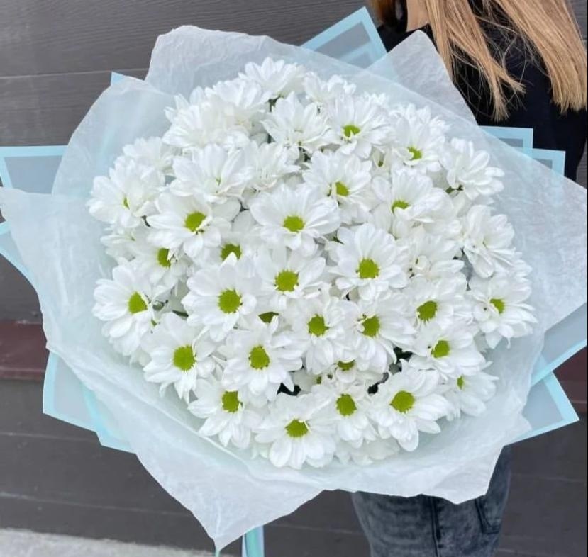 Купить DIDI Flowers 109DF хризантема 9 шт 50 см в кредит в Алматы ...