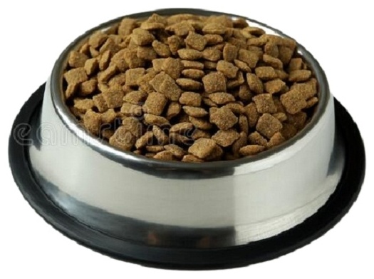 Купить Forza 10 С рыбой для взрослых 1 кг в кредит в Астане – Kaspi Магазин