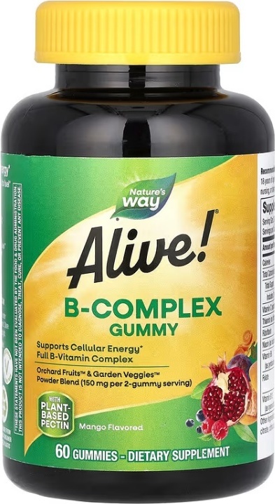 Купить Nature's Way витамин Alive! B-Complex Gummies Mango №60 в Алматы ...