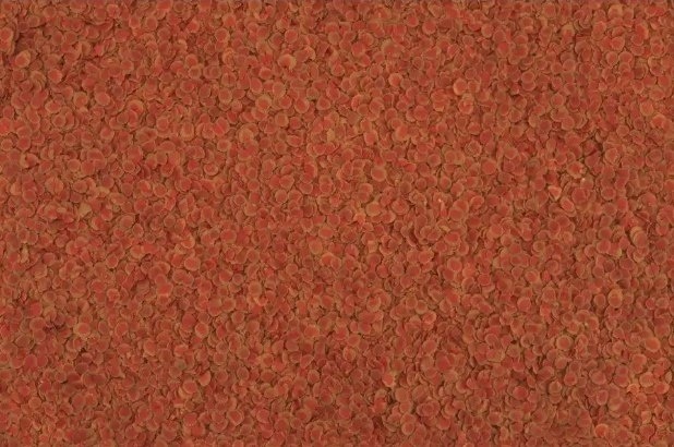 Купить Корм Tetra TetraPro Color Multi-Crisps чипсы 2100 г 10 л в ...