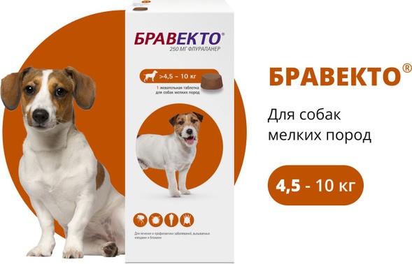 Купить Средство БРАВЕКТО от блох, от клещей, от власоедов, от вшей для ...