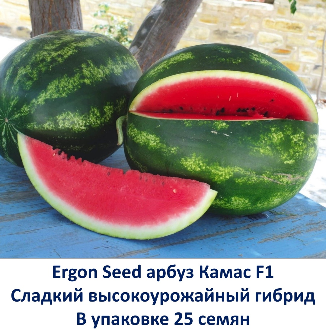 Купить Ergon Seed арбуз Камас F1 25 семян в Алматы – Магазин на Kaspi.kz