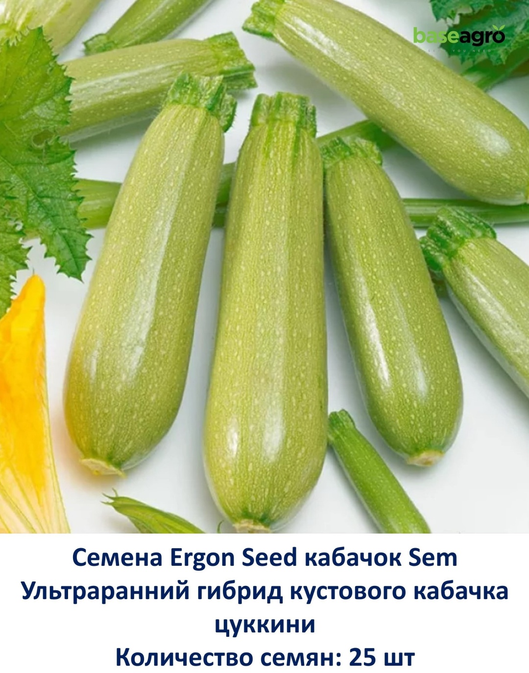 Купить Ergon Seed кабачок Sem F1 в Алматы – Магазин на Kaspi.kz