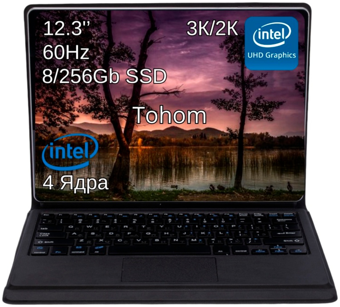 Купить Ноутбук Tohom BT402 12.3" / 8 Гб / SSD 256 Гб / Win 11 / 06647 в ...