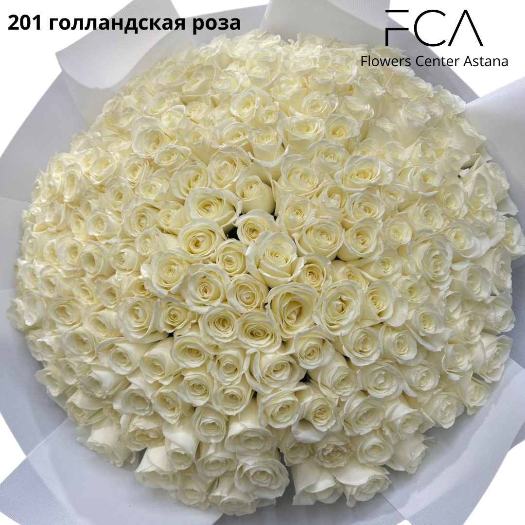 Купить Flowers Center Astana моно-букет с открыткой роза 201 шт 60 см в Алматы – Магазин на Kaspi.kz
