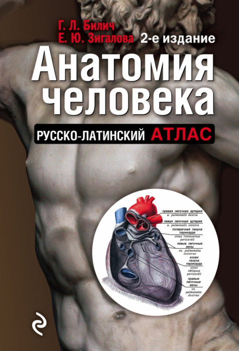 Купить Билич Г.Л., Зигалова Е.Ю.: Анатомия человека: Русско-латинский ...